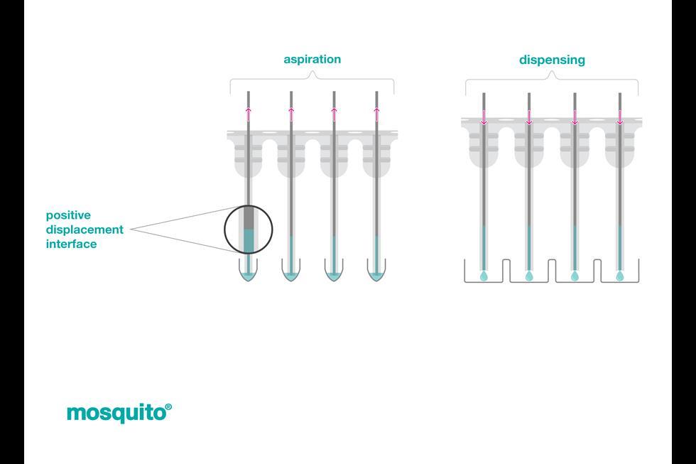 Accelerating chemical discovery through high-throughput experimentation ...
